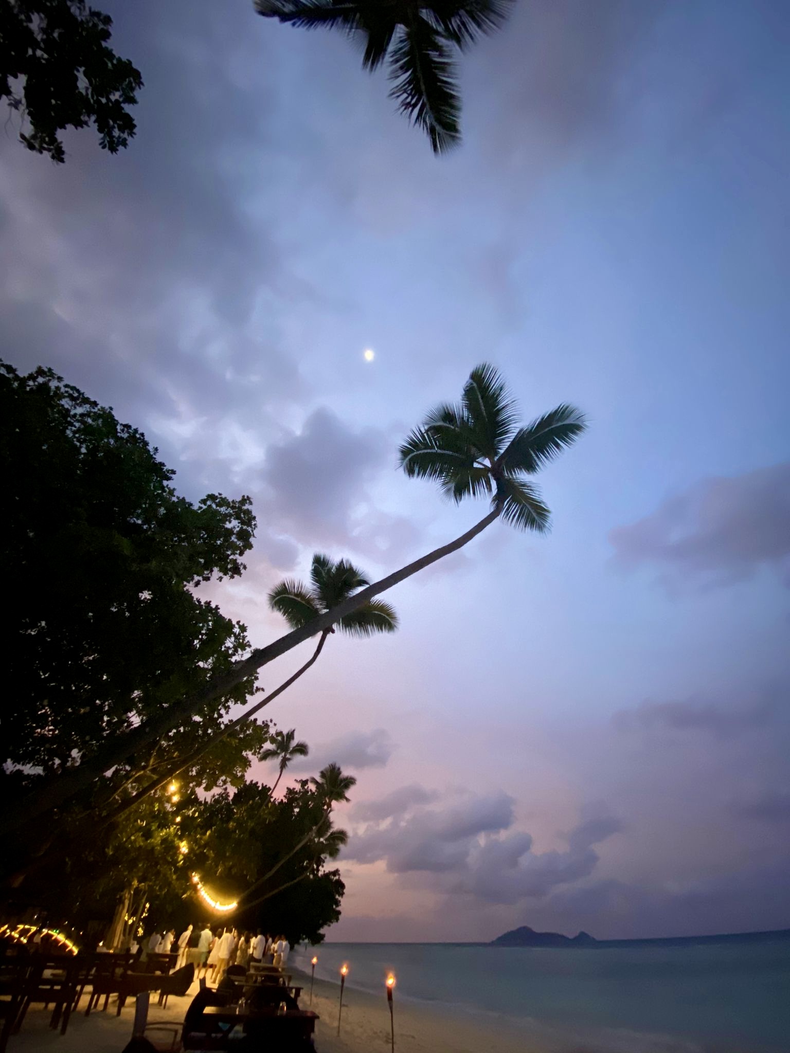 5 isole tropicali da visitare - ProtoXtype